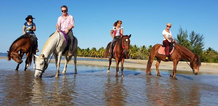 Beach horseback riding - Samaná Inn