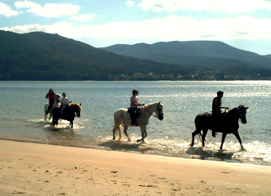 Beach horseback riding - Samaná Inn